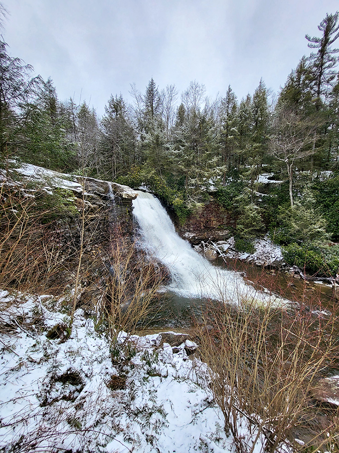 Winter transforms the falls into a dreamscape of white and blue. It's like stepping into Narnia, minus the talking lion and evil witch.