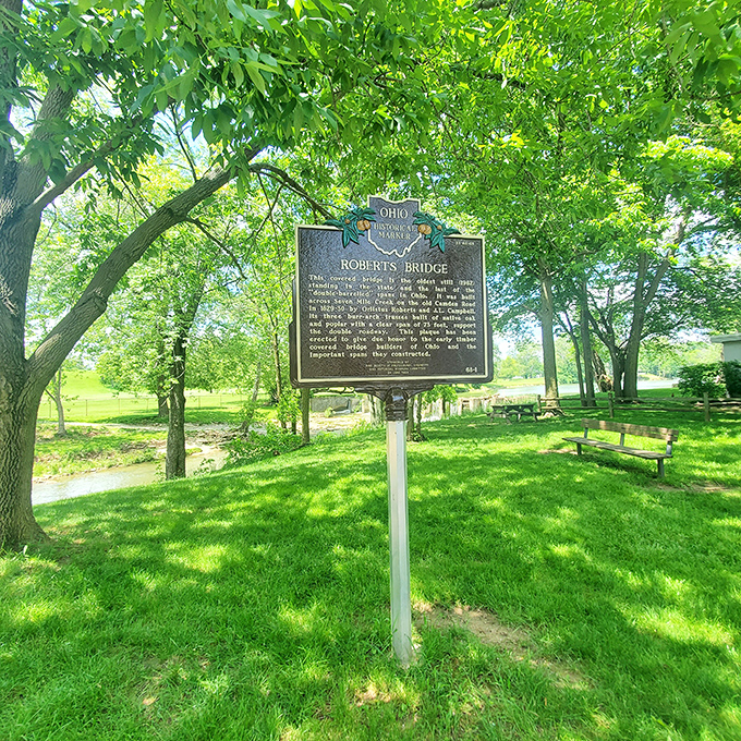 Even the surrounding woods seem to lean in, protecting this treasure like nature's own security system.
