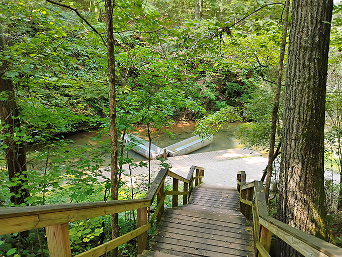 Wooden steps descend to a tranquil stream crossing, inviting visitors to pause and listen to the water's timeless conversation.