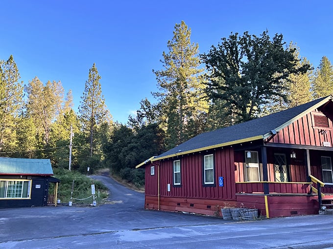 Simple red cabins tucked among towering pines&mdash;the kind of place Thoreau would have booked if Walden Pond had decent Wi-Fi.