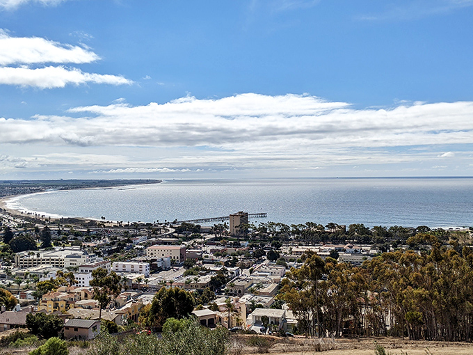 From this vantage point, Ventura's coastline curves like nature's perfect smile. The kind of view that sells real estate and inspires poetry.