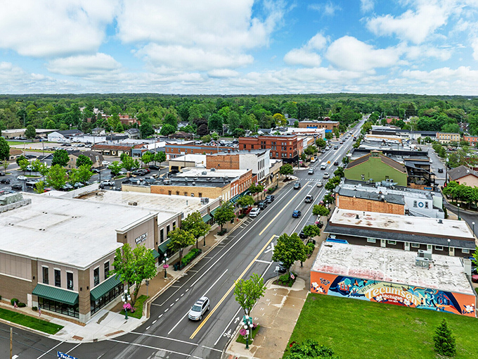 From above, Tecumseh reveals its perfect proportions&mdash;a downtown core surrounded by neighborhoods and then embraced by Michigan's lush countryside.