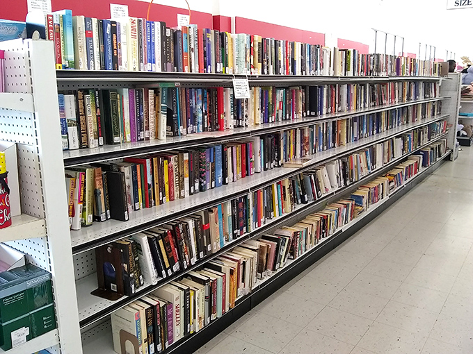 The book section: where literary journeys cost less than a coffee. Browse these shelves and you might just find that out-of-print gem you've been hunting.
