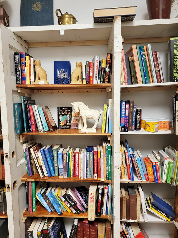 Bookworms can burrow into this literary corner where vintage volumes and forgotten bestsellers await their next reader's gentle touch.