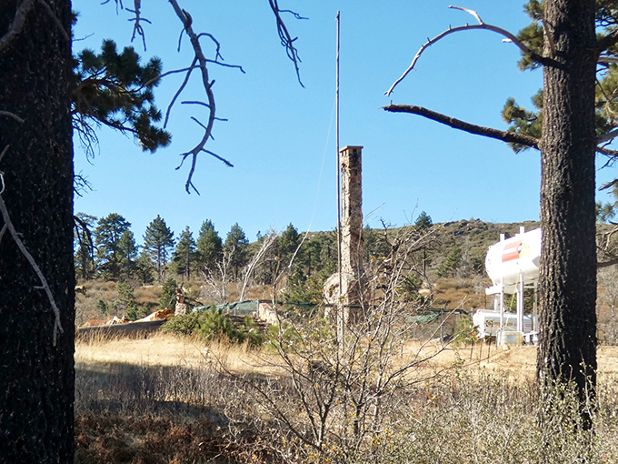 Whispers of civilization tucked among the pines. This rustic campground is where cell service goes to die and conversation comes alive again.