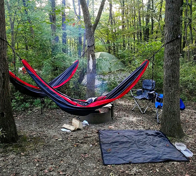 Camping nirvana achieved: hammocks suspended between trees create the perfect floating cocoon for forest-bathing dreams.