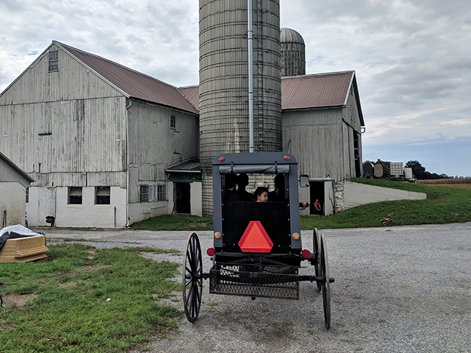 An Amish buggy approaches the weathered barn and silos, transportation that never needs a software update.