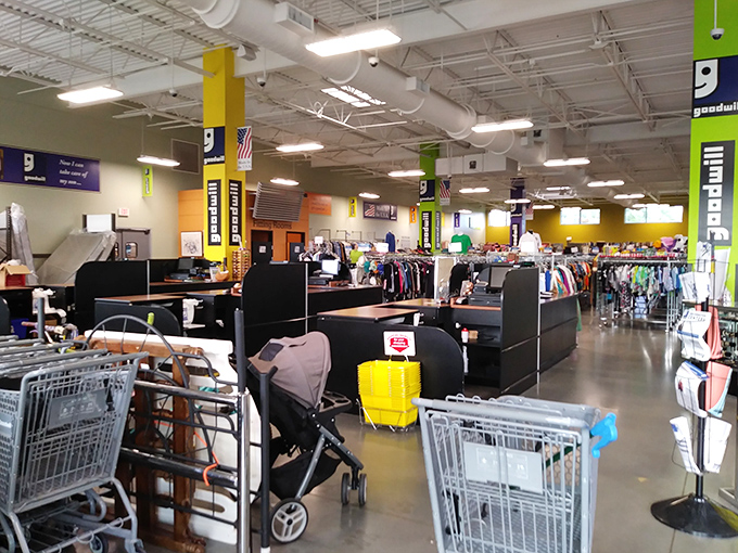 Shopping carts await their mission at the front of the store, ready to be filled with treasures that tell stories of past lives.