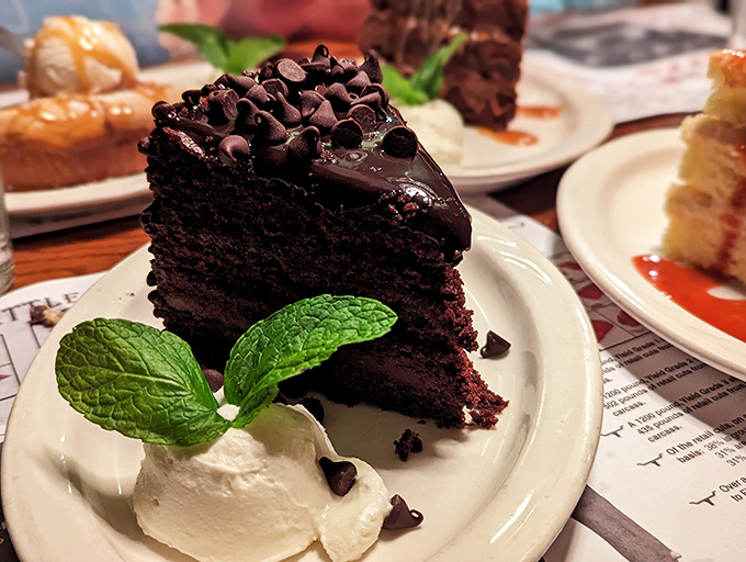 A slice of chocolate cake that doesn't know the meaning of restraint. When dessert wears chocolate chips like a crown, you know you're ending the meal on a high note.