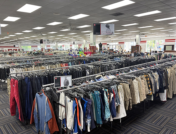 The clothing forest stretches to the horizon &ndash; racks upon racks of potential style transformations organized by size, type, and sometimes color.