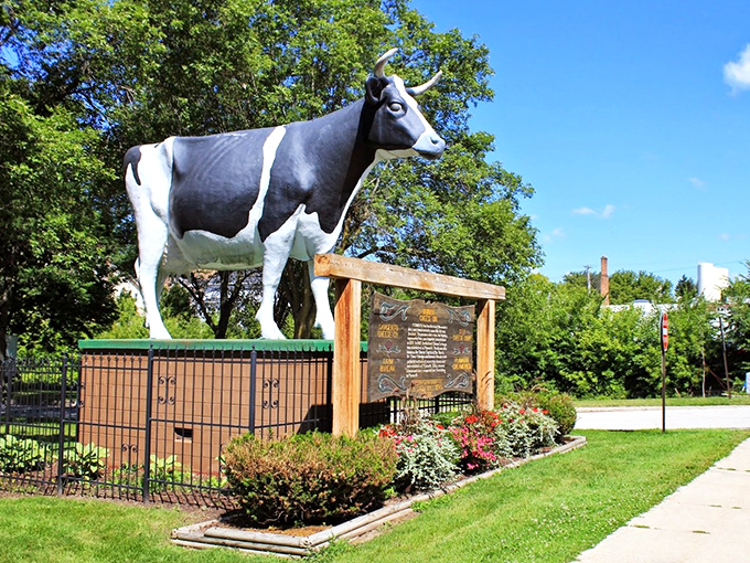 Perfectly manicured grounds frame Wisconsin's most photogenic Holstein. In summer's embrace, Antoinette shines like the dairy star she is.