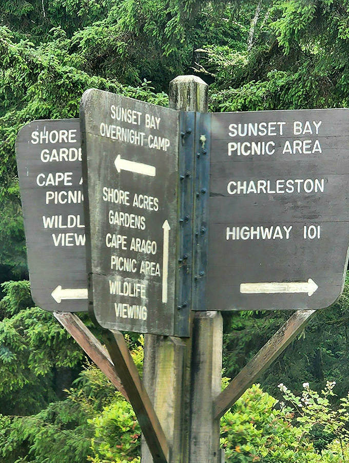 Nature's GPS system&mdash;wooden signs pointing to adventures in every direction. Choose your own outdoor odyssey.