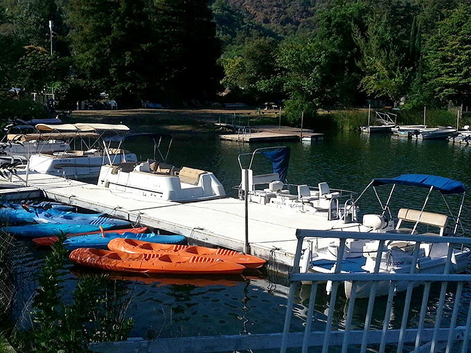 The marina's colorful kayaks wait like eager puppies, ready for someone to take them out to play on the lake.