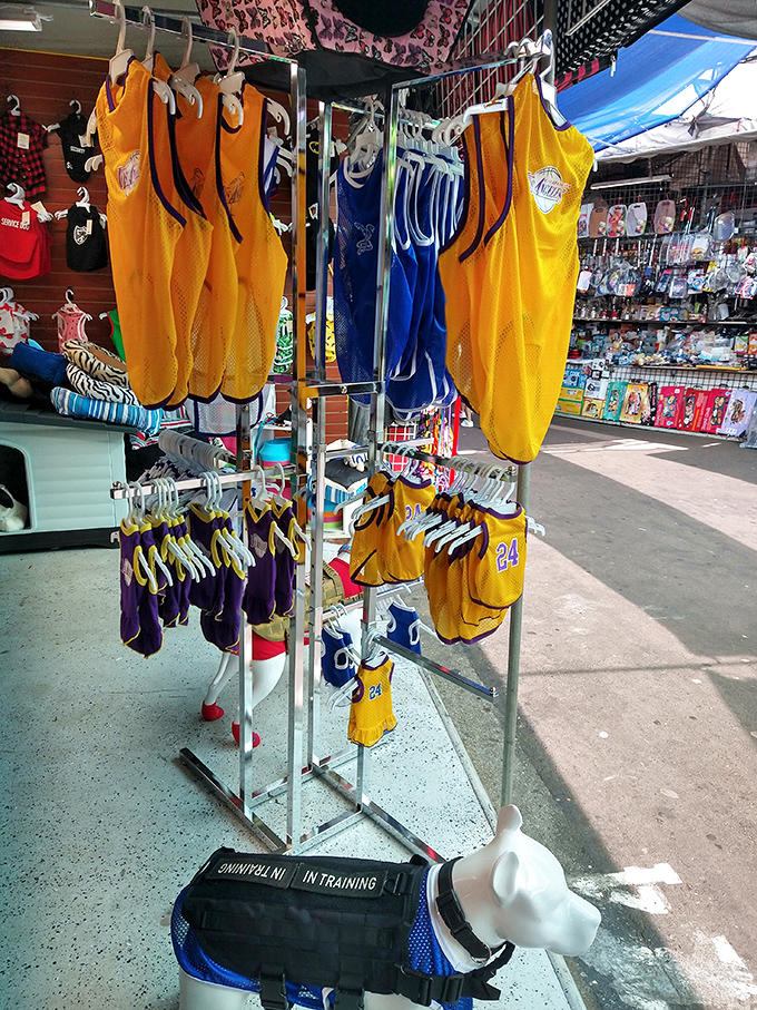 Even four-legged family members get the Roadium treatment. Lakers fans and their pups can match on game day without breaking the treat budget.