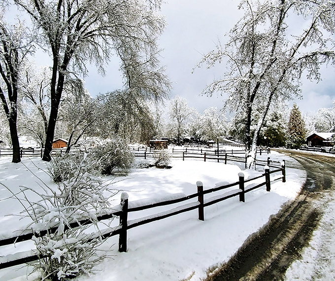 Columbia transforms into a winter wonderland when snow blankets the Sierra foothills, adding another layer of magic to this already enchanting historical treasure.