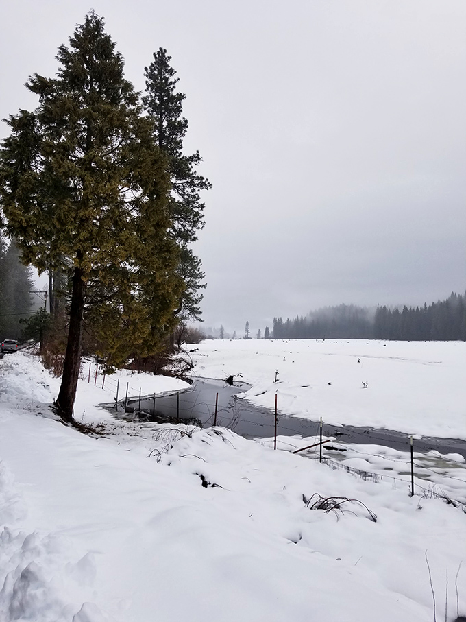 Winter transforms McCloud into a snow globe scene where you half-expect to see Bing Crosby strolling by with a pipe.