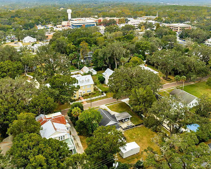 Aerial views reveal Brooksville's perfect balance of development and nature&mdash;a town that grew up without forgetting to leave room for trees and breathing space.