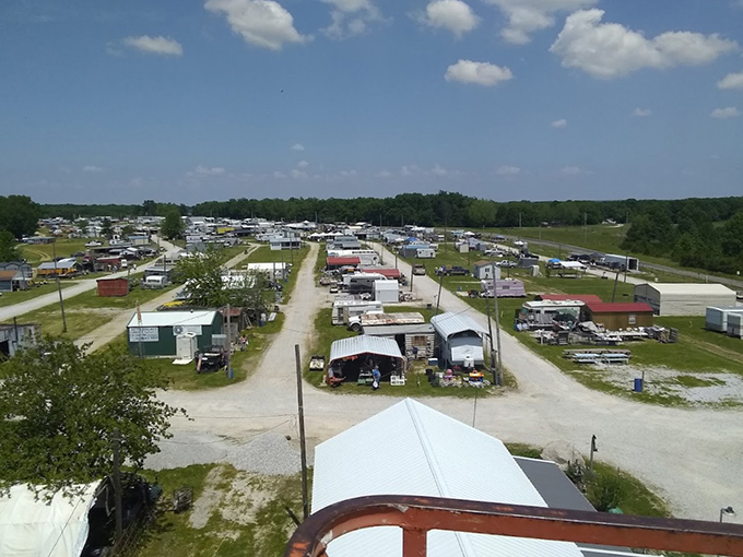 The bird's-eye view reveals the magnificent sprawl. From this vantage point, you can almost hear the haggling and happy discoveries happening in every aisle.
