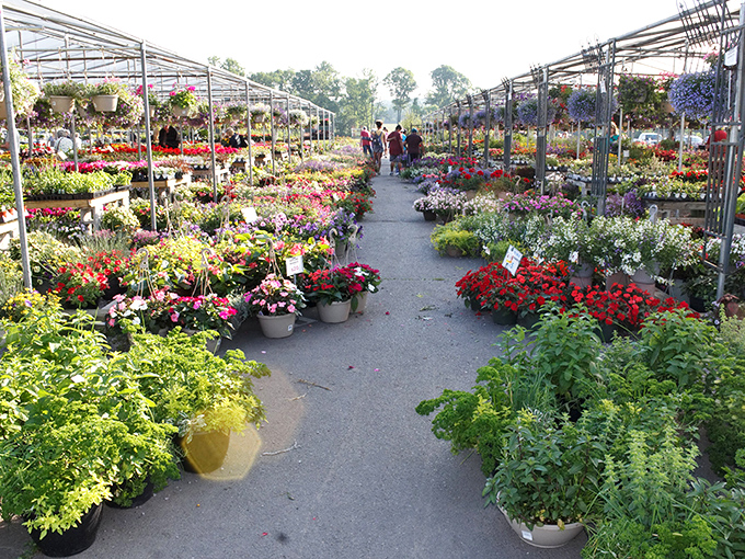 Garden paradise stretches as far as the eye can see. Even those with black thumbs might be inspired to attempt horticultural greatness!