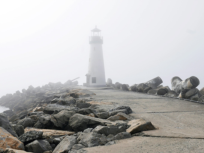 The lighthouse playing hide-and-seek in coastal fog creates the moody, atmospheric scene that California's coastline is famous for. 