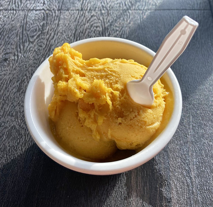 Gelato that doesn't need fancy swirls or toppings to impress&mdash;just pure, creamy goodness that makes you briefly consider moving to Italy.