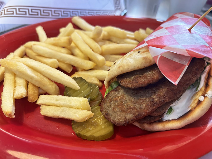 A gyro that's worth breaking your diet for, with crispy fries standing at attention like they know they're in the presence of greatness.