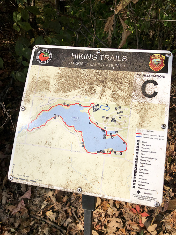 This weathered trail map has guided thousands of hikers around Harrison Lake's shores—each smudge representing someone's outdoor memory.