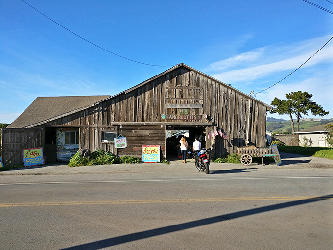 Andreotti Family Farms' weathered barn wears its decades proudly, a testament to Half Moon Bay's agricultural roots and farm-to-table ethos.