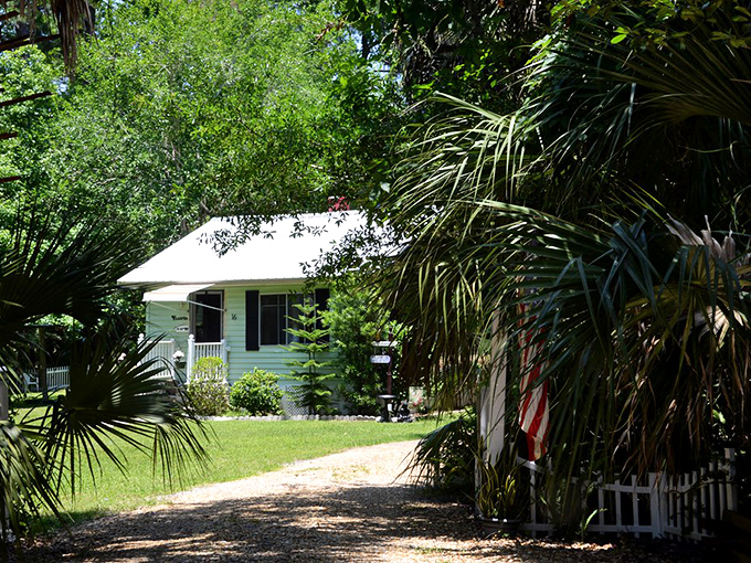 Hidden behind palms and pines, Yankeetown's homes embrace Old Florida charm &ndash; no HOA-mandated color schemes, just genuine coastal living.