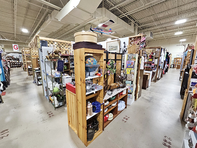 Wooden booths create a maze of possibilities. That model airplane overhead reminds us that here, even the ceiling holds treasures.