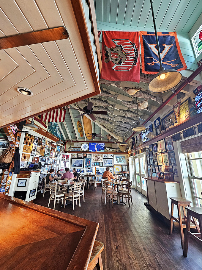 Look up and you'll find yourself under a ceiling of fishing nets and maritime memorabilia &ndash; dining beneath a sea of nautical nostalgia.