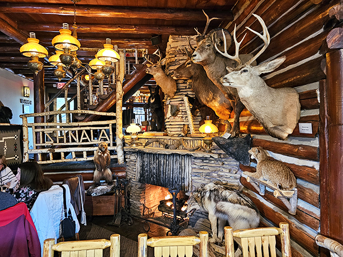The lodge-style interior, complete with wildlife mounts, creates an atmosphere that's equal parts "Northwoods cabin" and "natural history museum with cocktails."