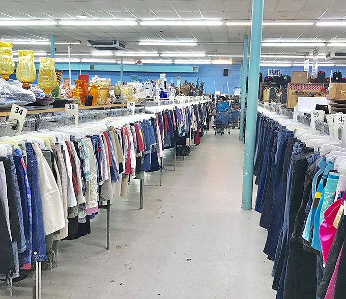 The denim corridor stretches into infinity, a blue jean paradise where your next favorite pants are hiding somewhere between sizes 4 and 14.