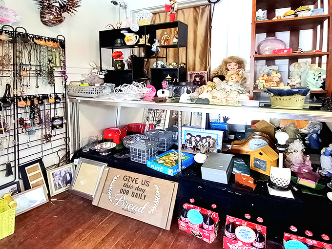 One person's knick-knack is another's treasure. This collection of curiosities offers everything from practical kitchen tools to conversation-starting oddities.