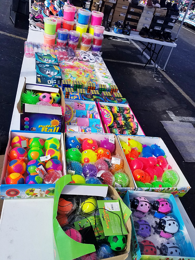 A rainbow explosion of playthings that proves some of life's simplest pleasures still don't require batteries or Wi-Fi passwords.