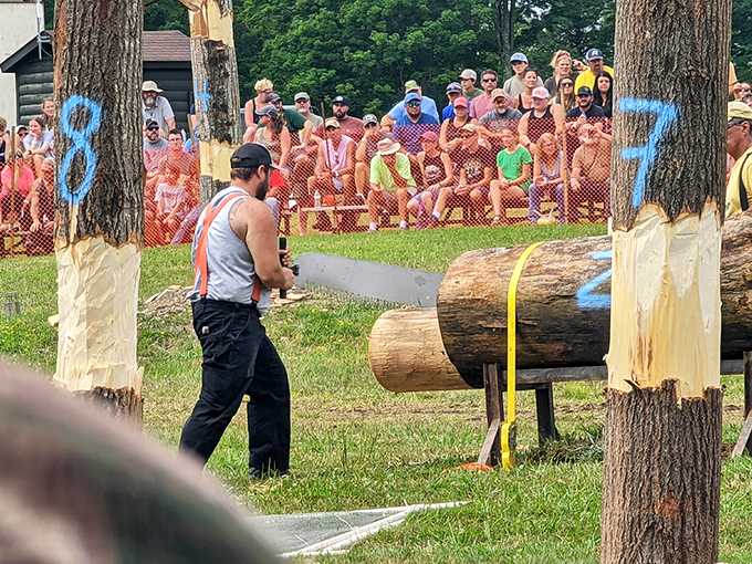 The park hosts various events celebrating Pennsylvania's rich logging heritage. A reminder that before we looked up at the stars, we looked to the trees.