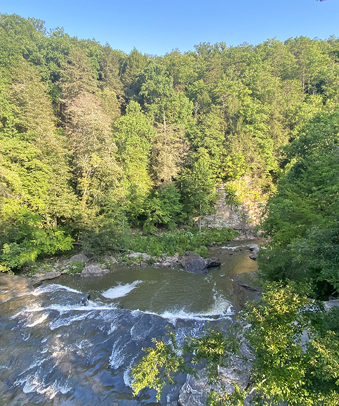 The gorge view reveals layers of forest canopy and flowing water below—nature's version of a multi-level entertainment complex, minus the overpriced popcorn.