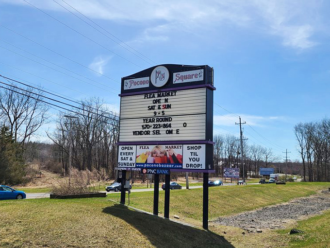 The roadside marquee promises year-round shopping adventures&mdash;a beacon of bargains calling to passing cars like a siren song for the thrifty.