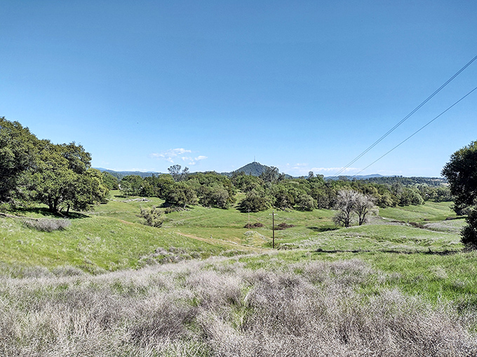 Rolling hills stretch toward distant mountains, offering million-dollar views on a fixed-income budget. Jackson's natural wealth belongs to everyone.