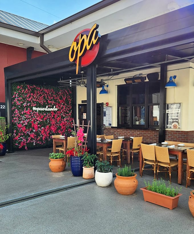 A wall of vibrant bougainvillea creates the perfect Instagram backdrop, while terracotta planters filled with herbs hint at the fresh flavors waiting inside.