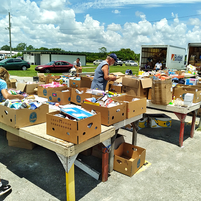 Outdoor bargain bins &ndash; where the real treasure hunters roll up their sleeves and dive in like archaeologists on the verge of a career-defining discovery.