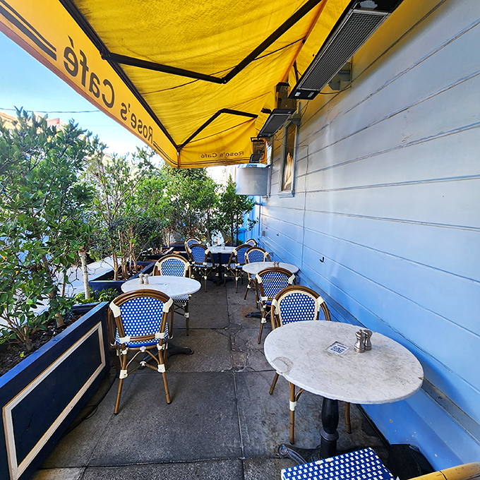 Outdoor seating that captures San Francisco's microclimate magic. Blue planters and woven bistro chairs create a sidewalk oasis where coffee tastes better and conversations flow easier.