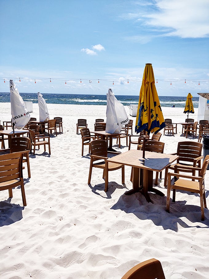 Tables in the sand where ocean breezes season every bite. This isn't just dining &ndash; it's the reason people move to Florida.