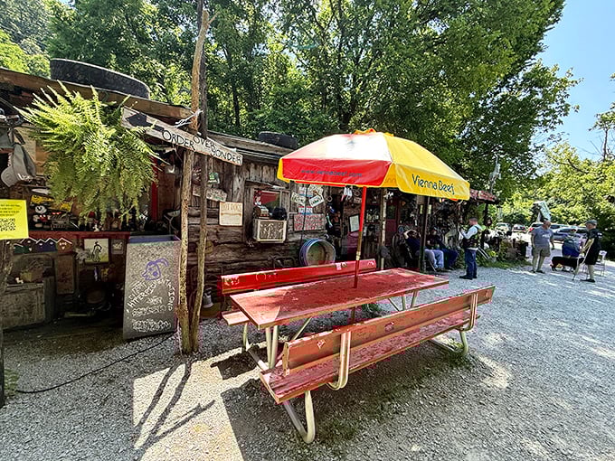 Outdoor seating under West Virginia skies adds the perfect finishing touch to your hot dog pilgrimage. Nature's dining room awaits.