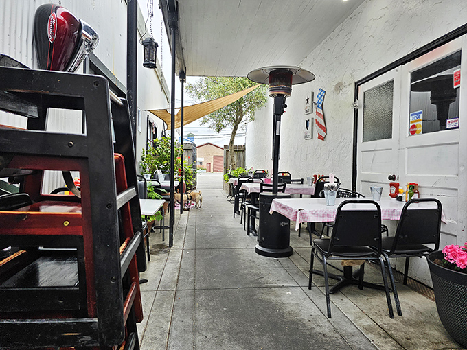 The outdoor seating area offers a moment of California sunshine between courses&mdash;or a place to contemplate how you'll manage to finish everything you ordered.