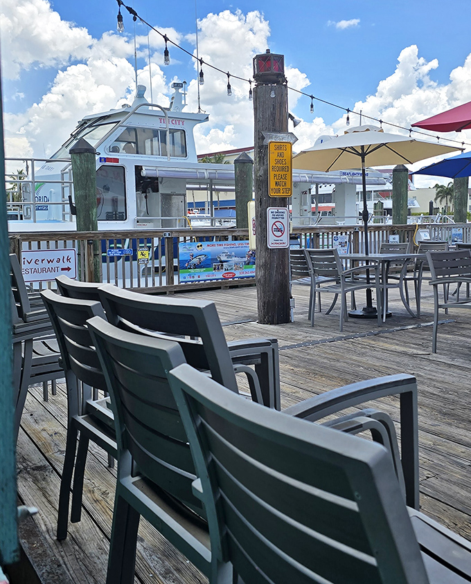 Outdoor seating where the chairs face the water because even the furniture knows the real star of the show is that gorgeous Florida coastline.