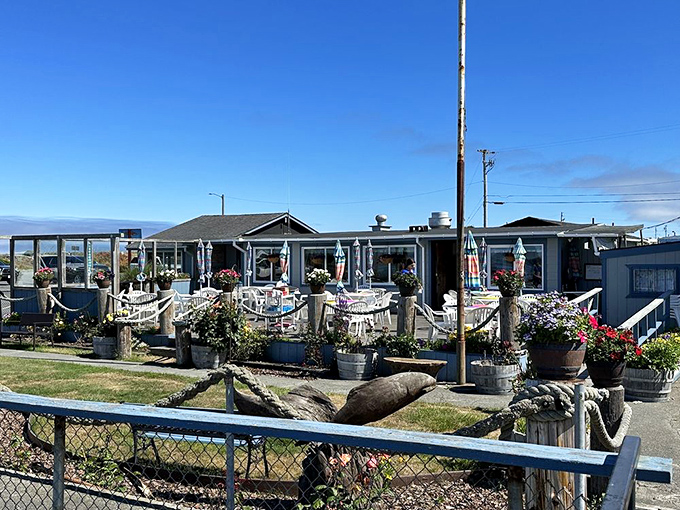 The full exterior view reveals Gill's true coastal charm – flower barrels, nautical ropes, and a blue building that houses some of California's finest seafood treasures.