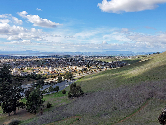 This hillside view of Vallejo reminds you that perspective is everything &ndash; especially when that perspective includes rolling hills, blue water, and housing prices that won't cause cardiac arrest.
