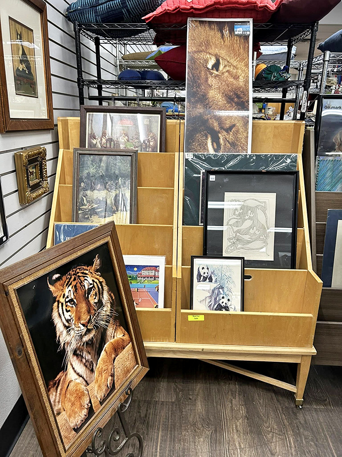 Artwork waiting to transform blank walls into personal galleries that reflect individual stories and tastes.