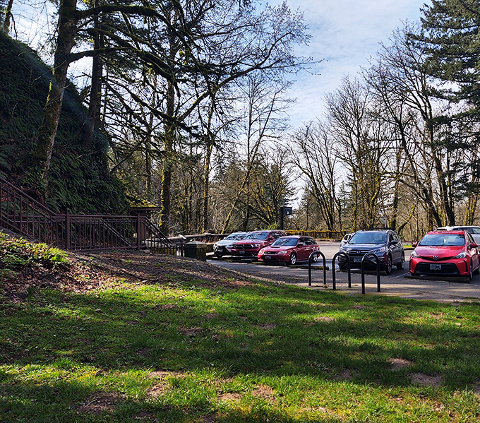 The parking area: civilization's last outpost before wilderness takes over. Your chariot awaits for the journey back to reality.